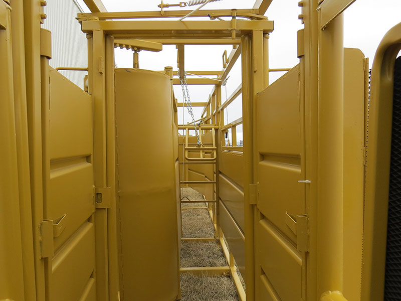 working cattle alley